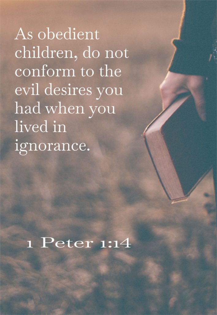 2023 Devotions – Community UM Church